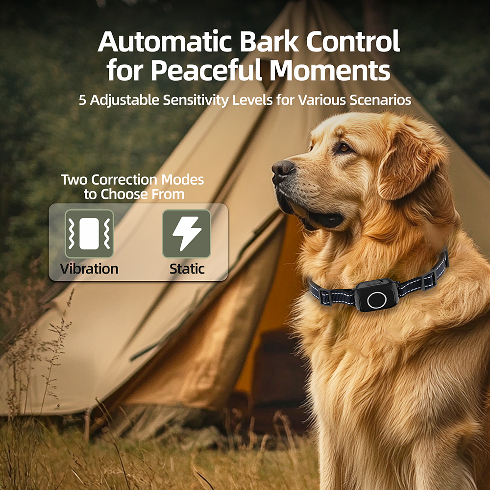 Barktec 2-in-1 Anti-Bark and Remote Training Collar – Aetertek New Zealand